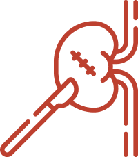 Expert Urologists in Bangalore | Sathya Sai Hospital Urology Care